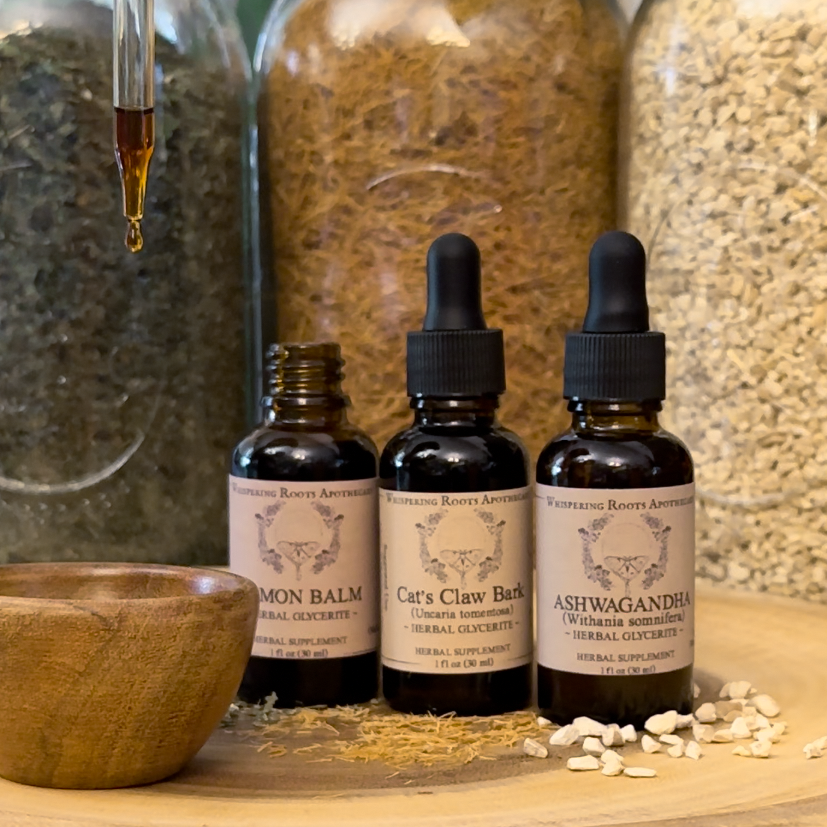 Tulsi/Holy Basil Glycerite – Whispering Roots Apothecary